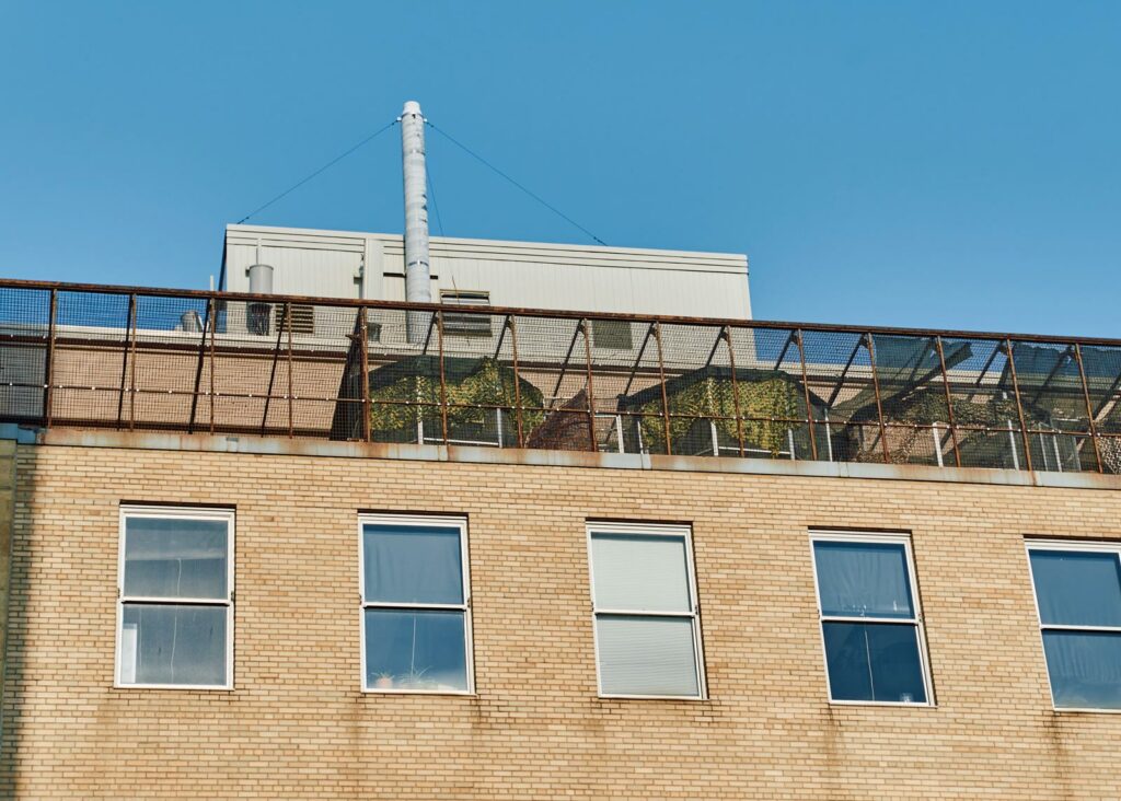 Flock Song - Letters & Science