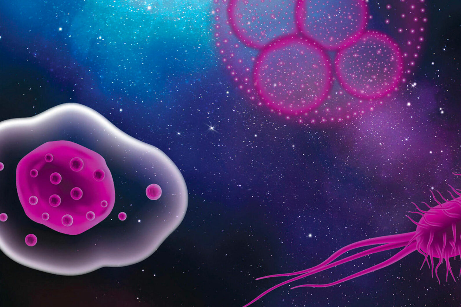 How does life begin? - Letters & Science