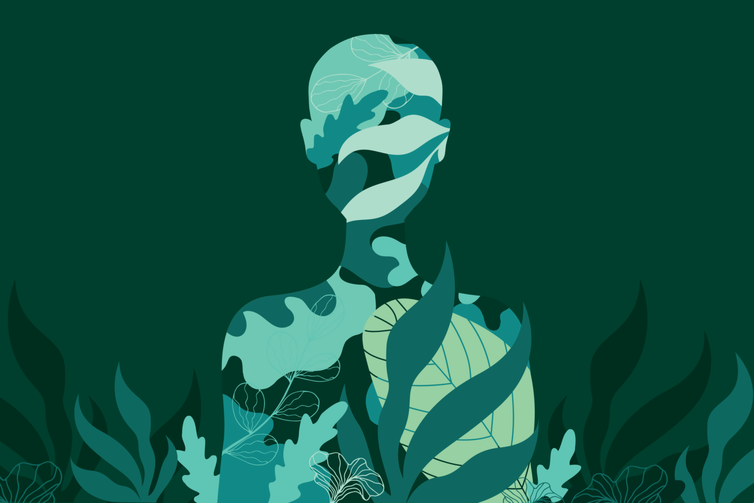 How do humans and nature interact at a border? - Letters & Science